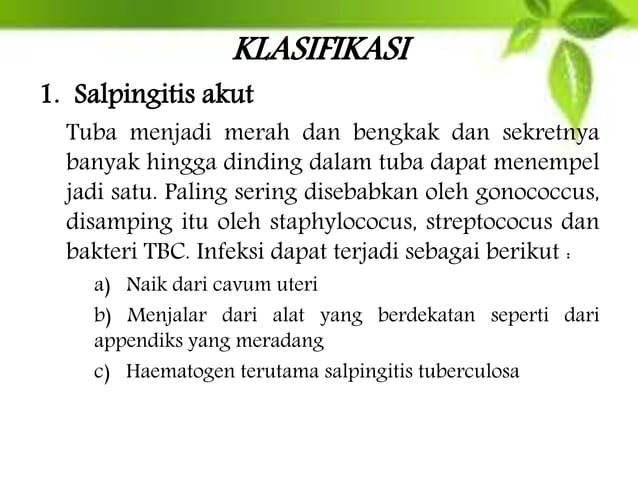 6. salpingitis & adnexitis | PPTX