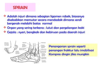6. trauma musculoscletal | PPT
