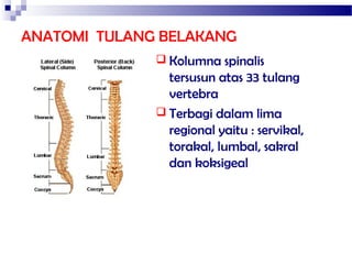 6. trauma musculoscletal | PPT