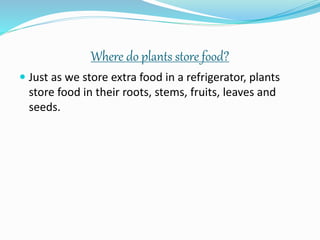 6.plants | PPTX