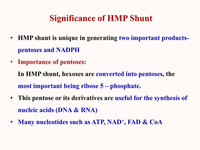 HMP SHUNT PATHWAY | PPTX