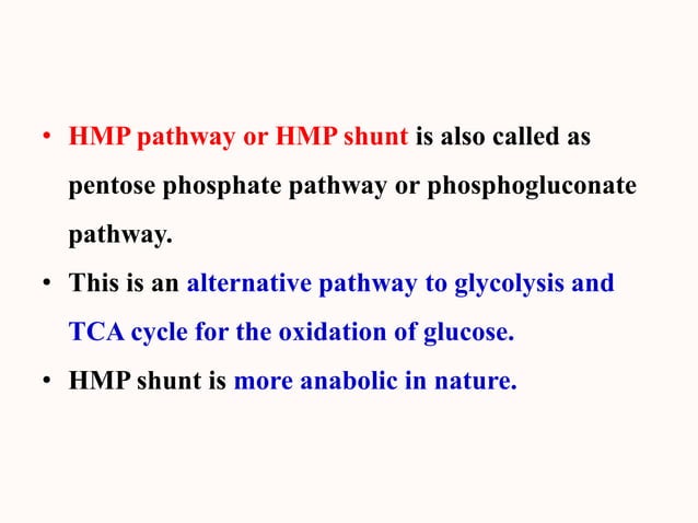 HMP SHUNT PATHWAY | PPTX