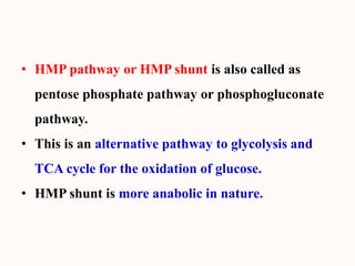 Hexose Monophosphate Shunt