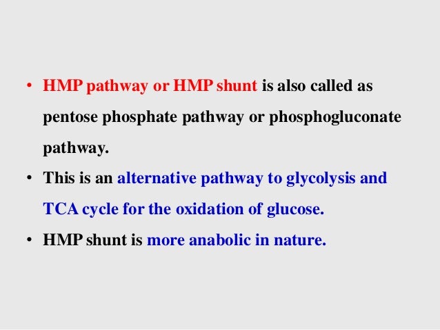 HMP SHUNT PATHWAY