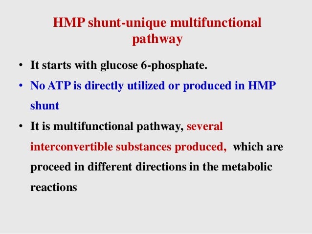 HMP SHUNT PATHWAY