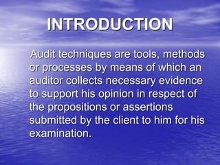 6. audit techniques | PPTX