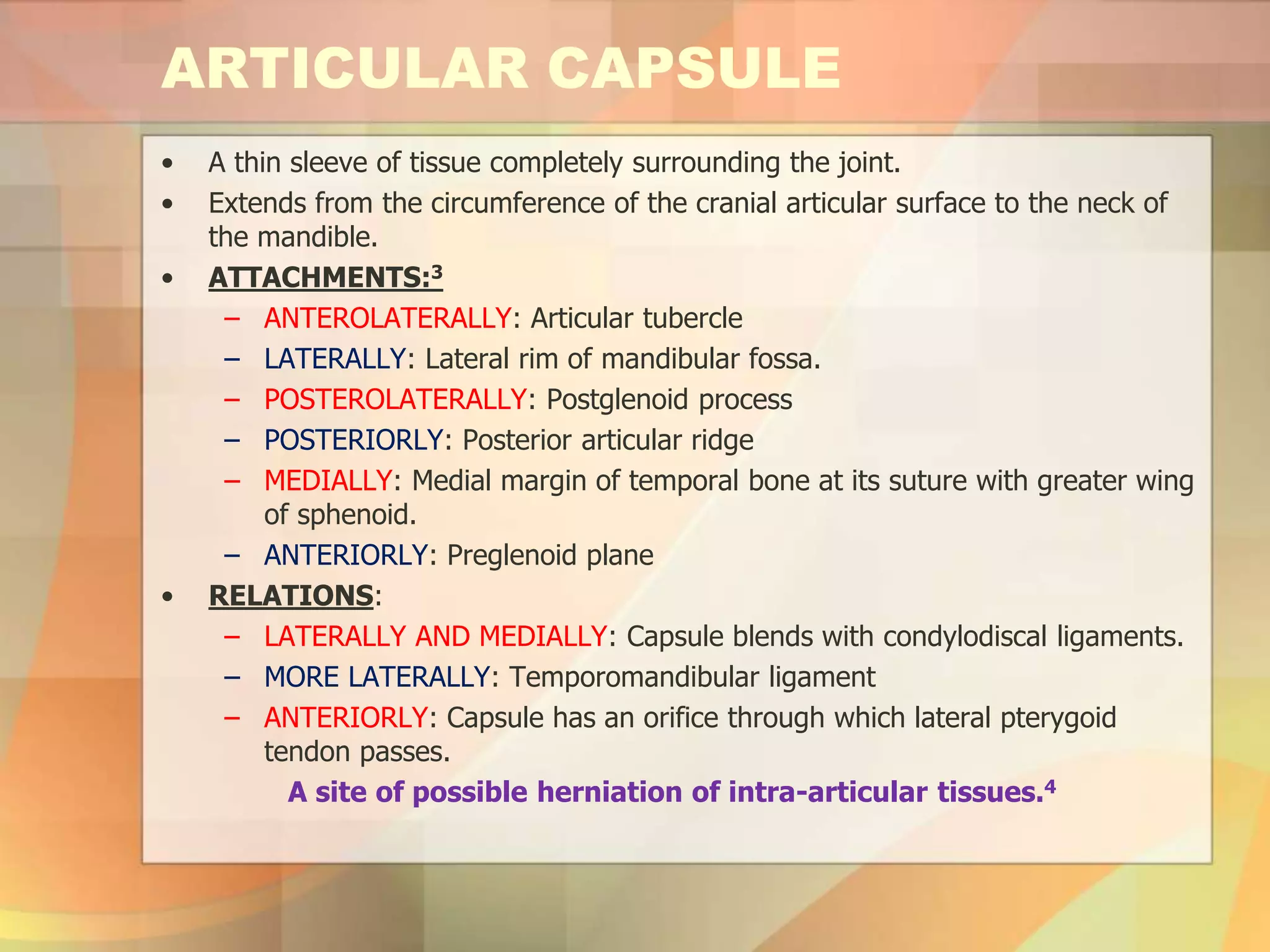 Temporomandibular Joint | PPTX