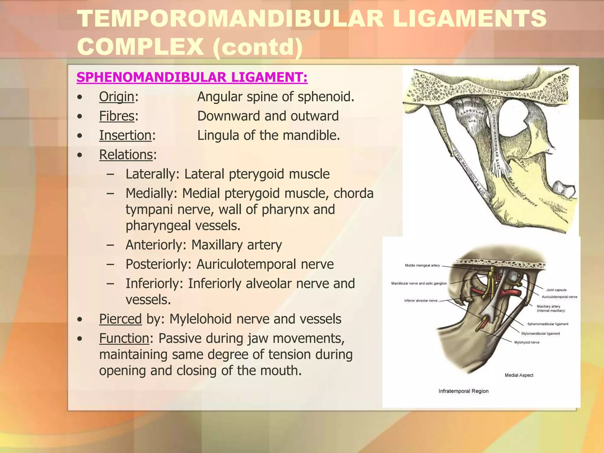 Temporomandibular Joint | PPTX