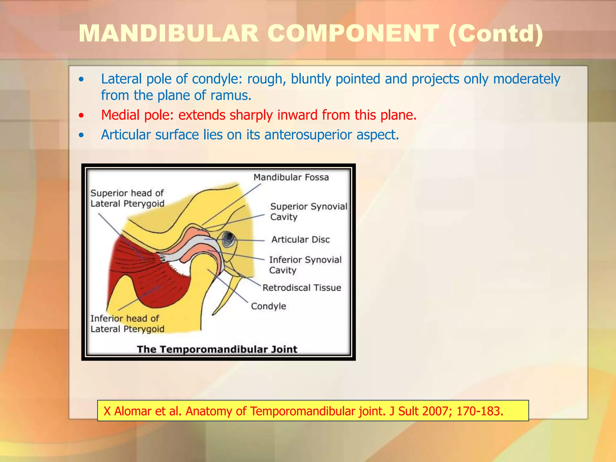 Temporomandibular Joint | PPTX