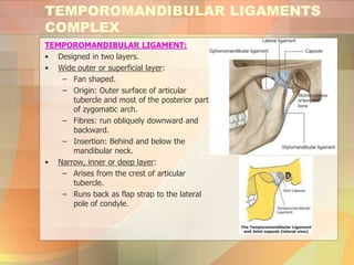 Temporomandibular Joint | PPTX