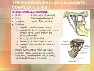 Temporomandibular Joint | PPTX