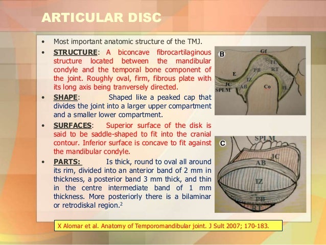 Temporomandibular Joint