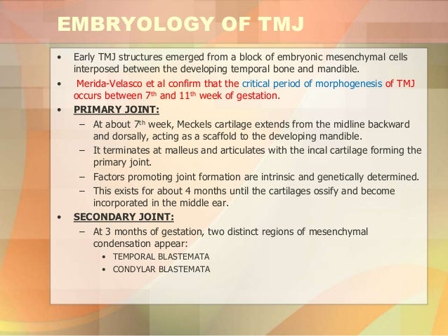 Temporomandibular Joint