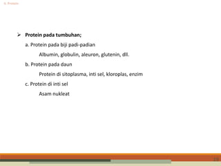 6. protein | PPT