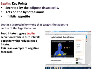 6.6 homeostasis and hormones | PPTX