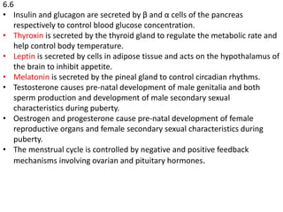 6.6 homeostasis and hormones | PPTX