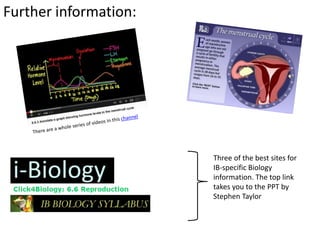 6.6 homeostasis and hormones | PPTX