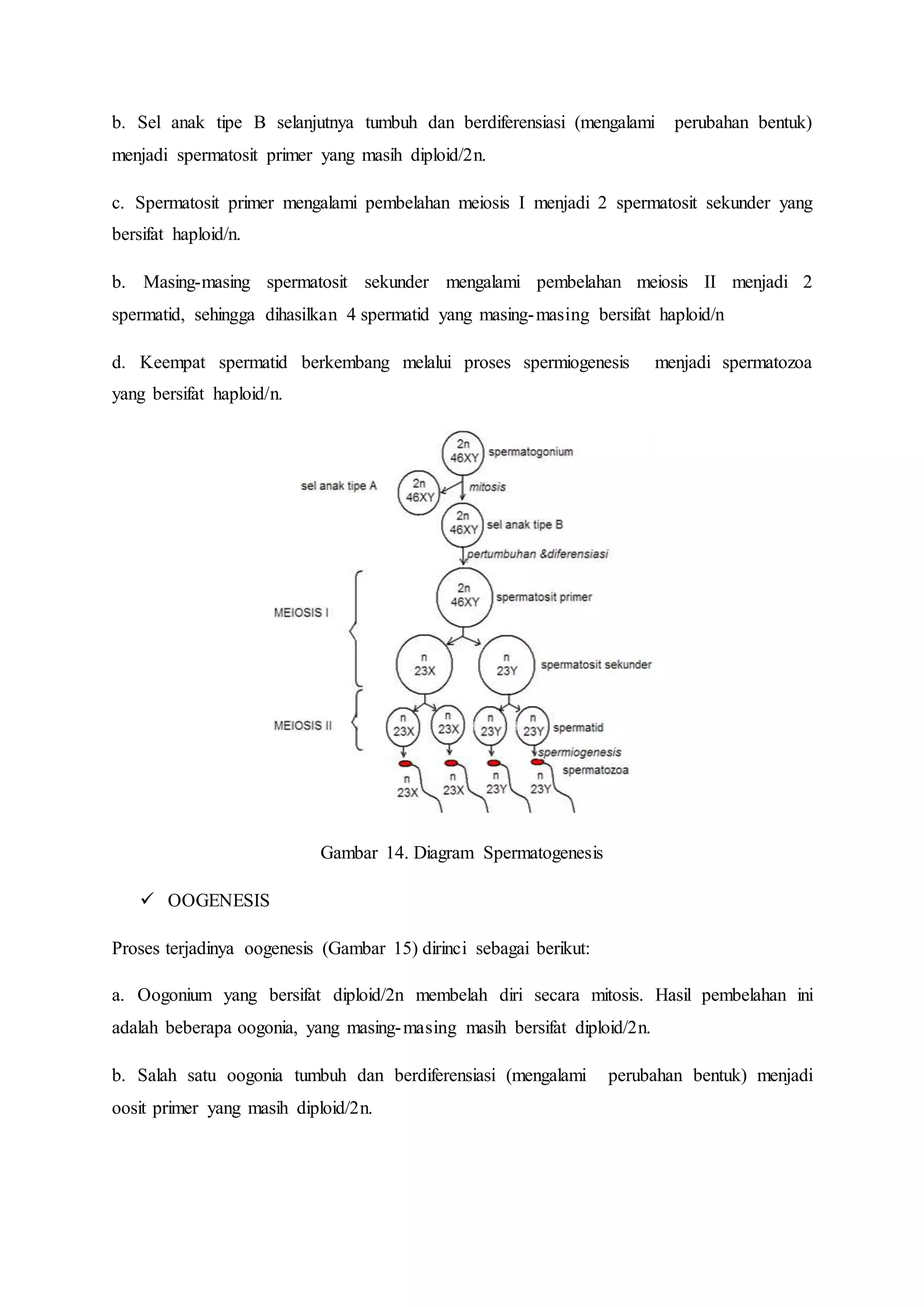 Genetika dan Reproduksi Sel | DOCX
