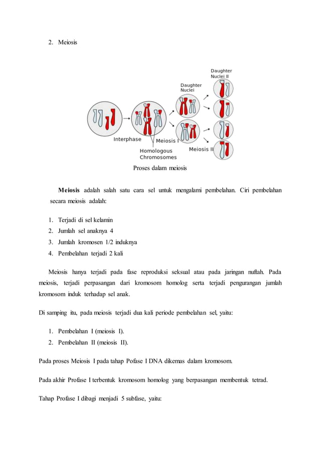 Genetika dan Reproduksi Sel | DOCX
