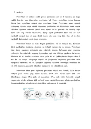 Genetika dan Reproduksi Sel | DOCX