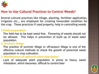 6. cultural control of weeds A lecture by Allah Dad Khan | PPT