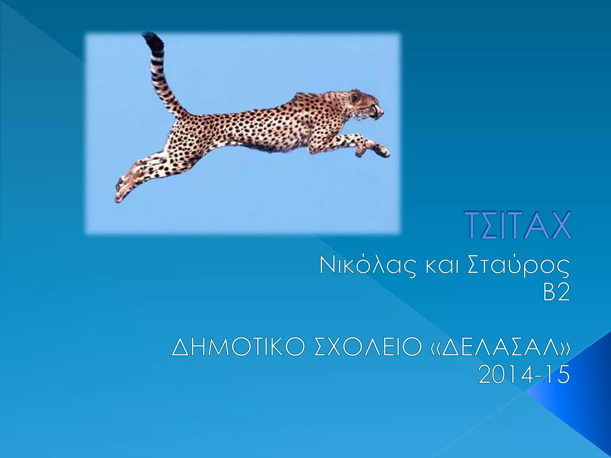 ΤΣΙΤΑΧ | PPTX