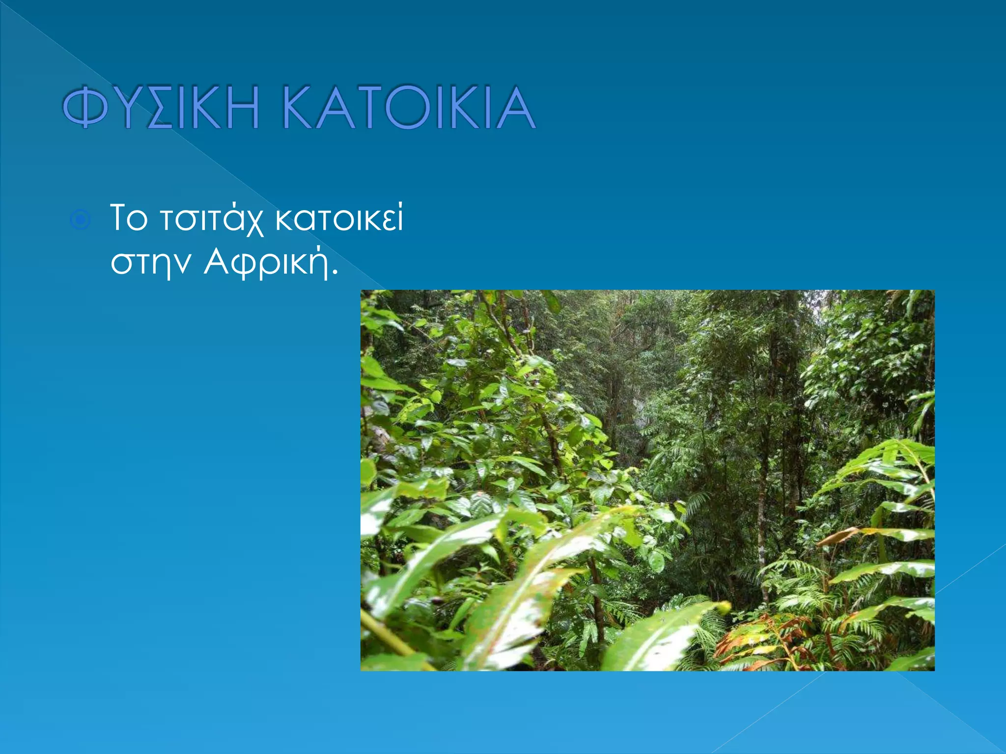 ΤΣΙΤΑΧ | PPTX