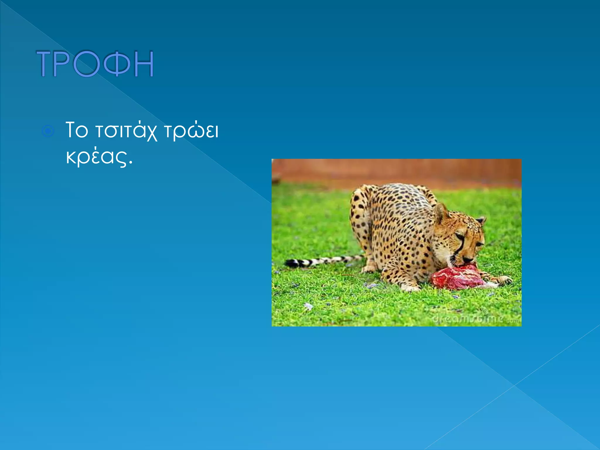 ΤΣΙΤΑΧ | PPTX