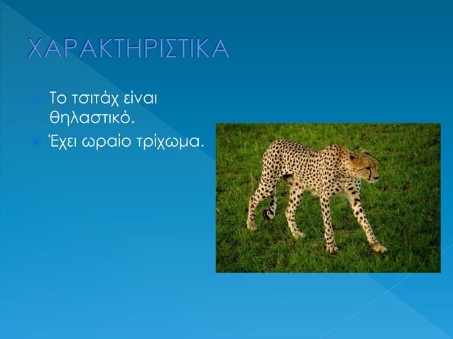 ΤΣΙΤΑΧ | PPTX
