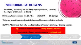 6. Water Quality | PDF