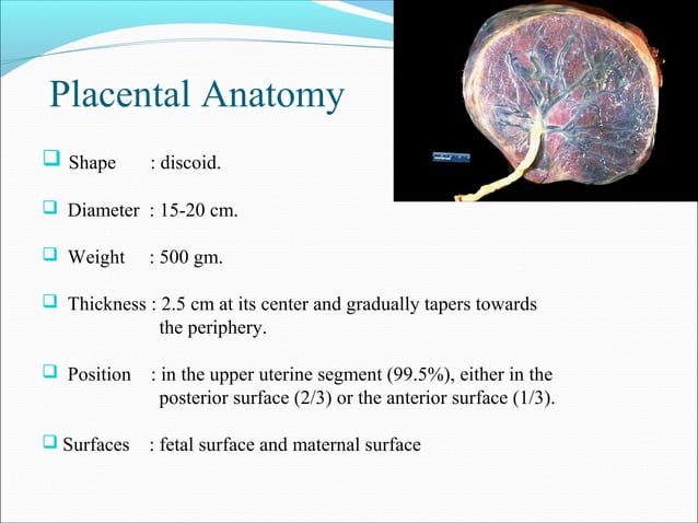 Disorders of pregnancy and placental pathology | PPT