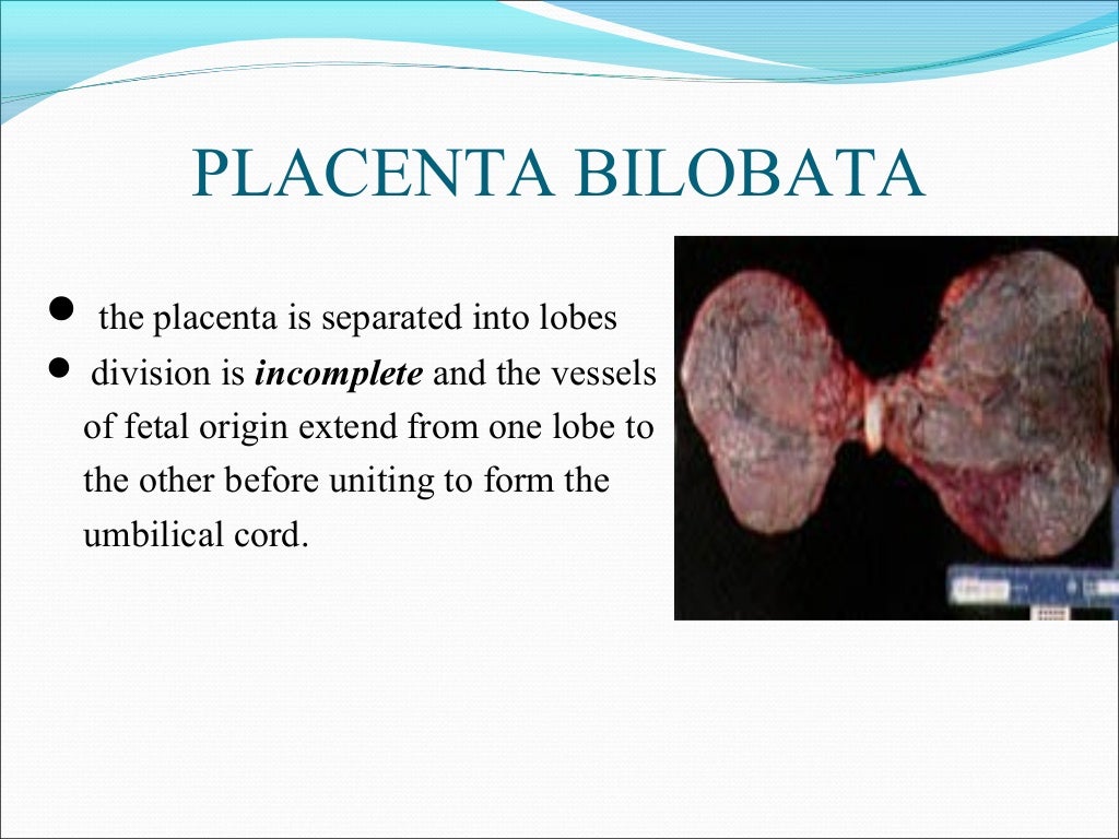 Disorders of pregnancy and placental pathology
