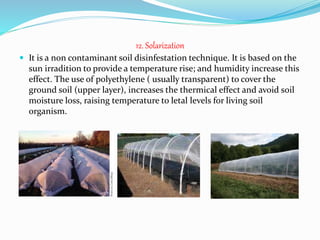 6.organic farming of medicinal plants By Mr. Allah Dad Khan Visiting ...