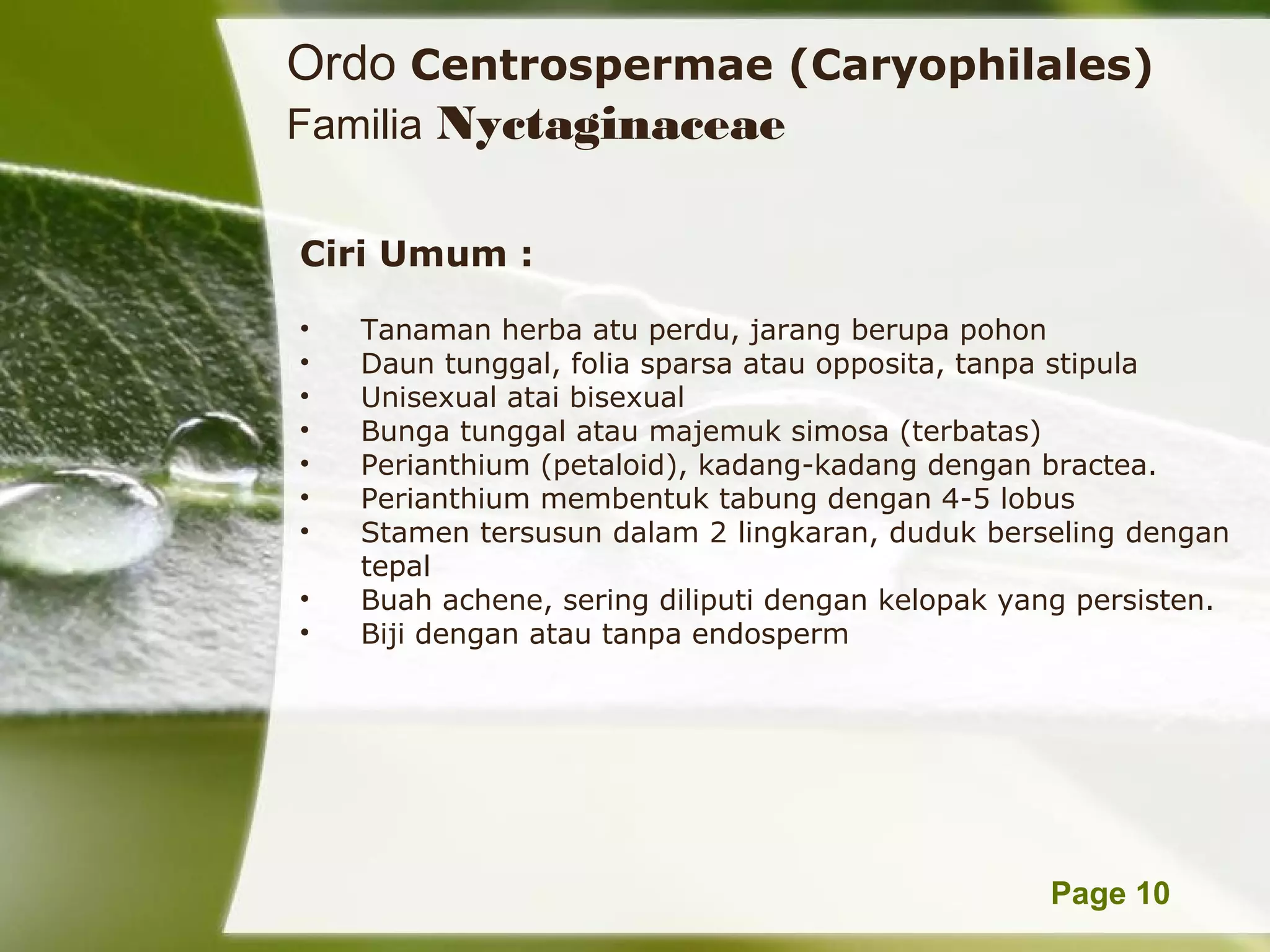 Subclass Dialypetalae | PPT