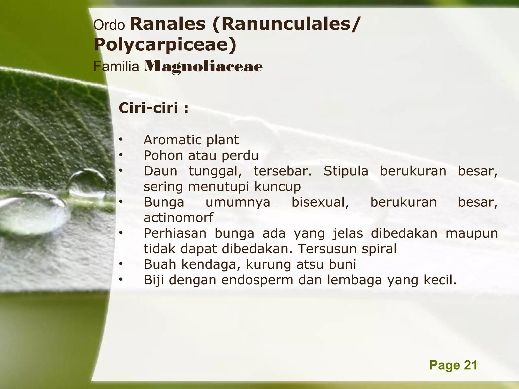 Subclass Dialypetalae | PPT