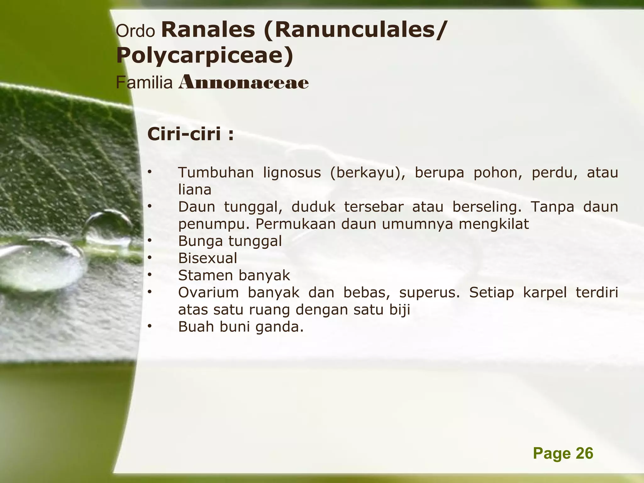 Subclass Dialypetalae | PPT