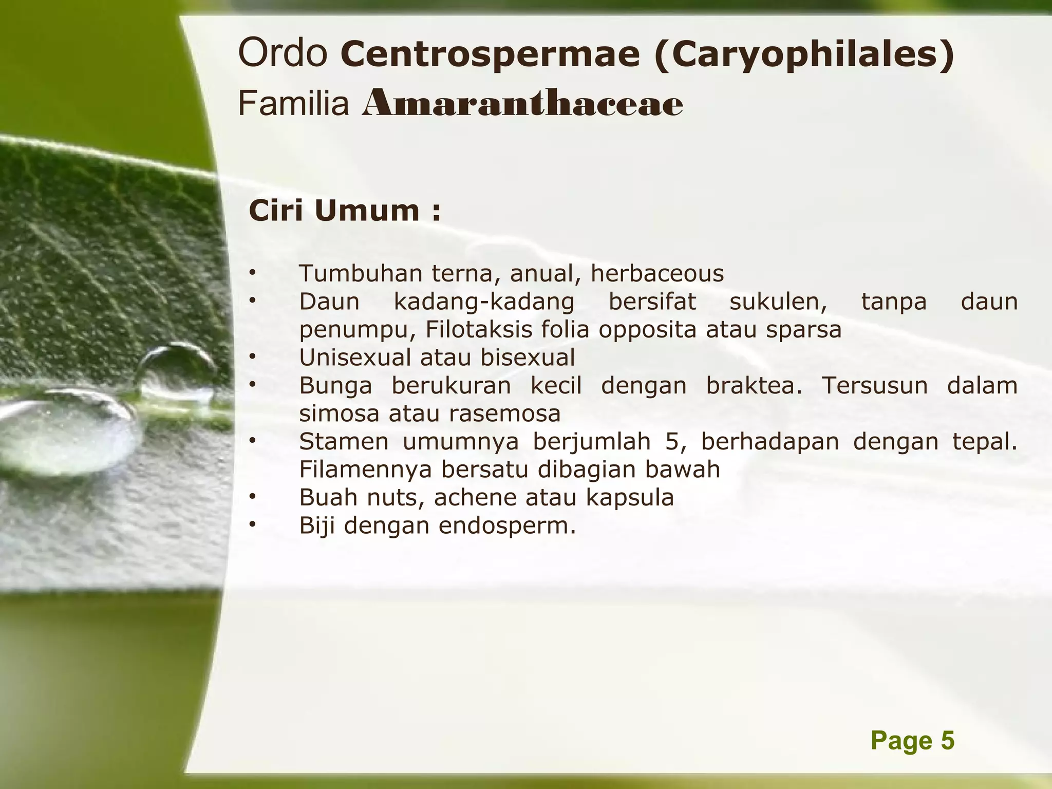 Subclass Dialypetalae | PPT