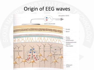EEG | PPTX