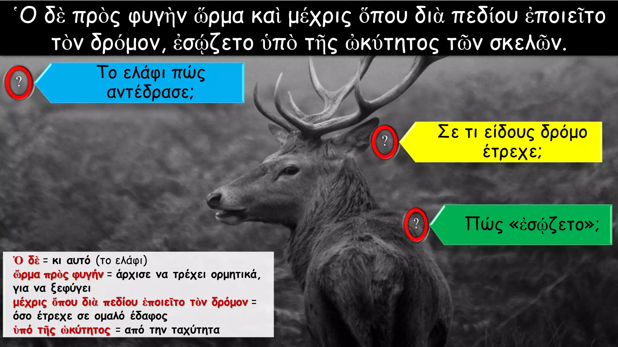Η ομορφιά δεν είναι το παν, Ενότητα 6 Αρχαίων Α΄ Γυμνασίου | PDF