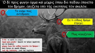 Η ομορφιά δεν είναι το παν, Ενότητα 6 Αρχαίων Α΄ Γυμνασίου | PDF