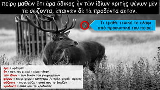 Η ομορφιά δεν είναι το παν, Ενότητα 6 Αρχαίων Α΄ Γυμνασίου | PDF