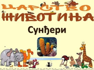 Sundjeri | PPT