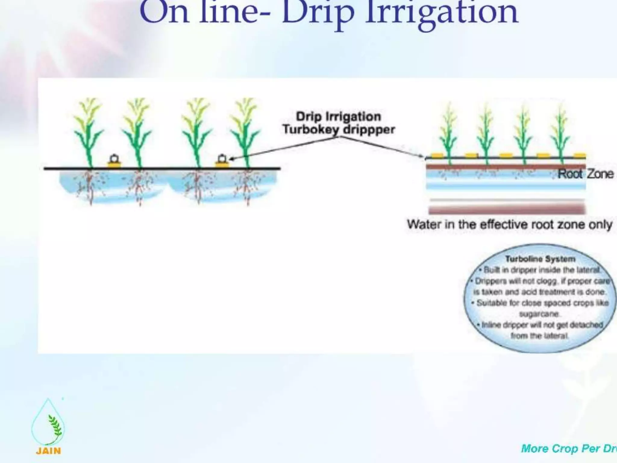 6.Drip irrigation A New System A Lecture By Mr. Allah Dad Khan Visiting ...