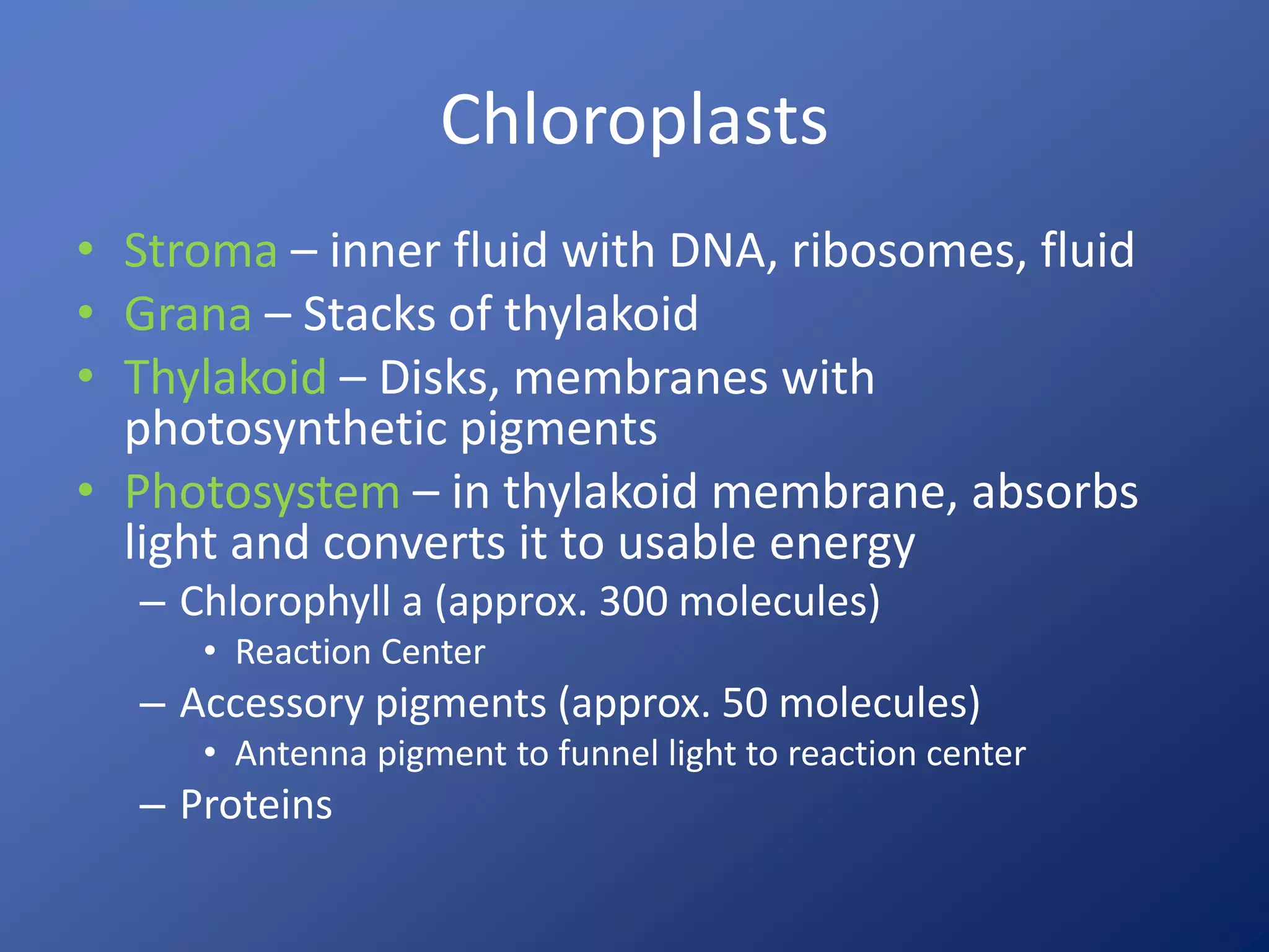 Biology Lecture - Photosynthesis | PPTX