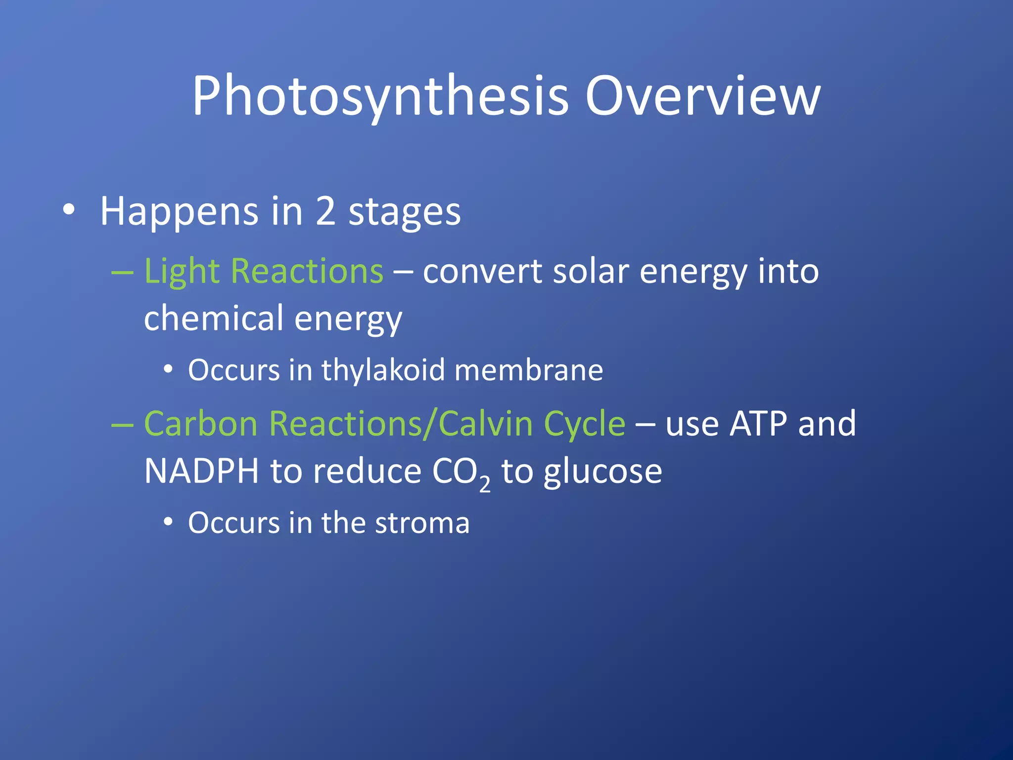 Biology Lecture - Photosynthesis | PPTX