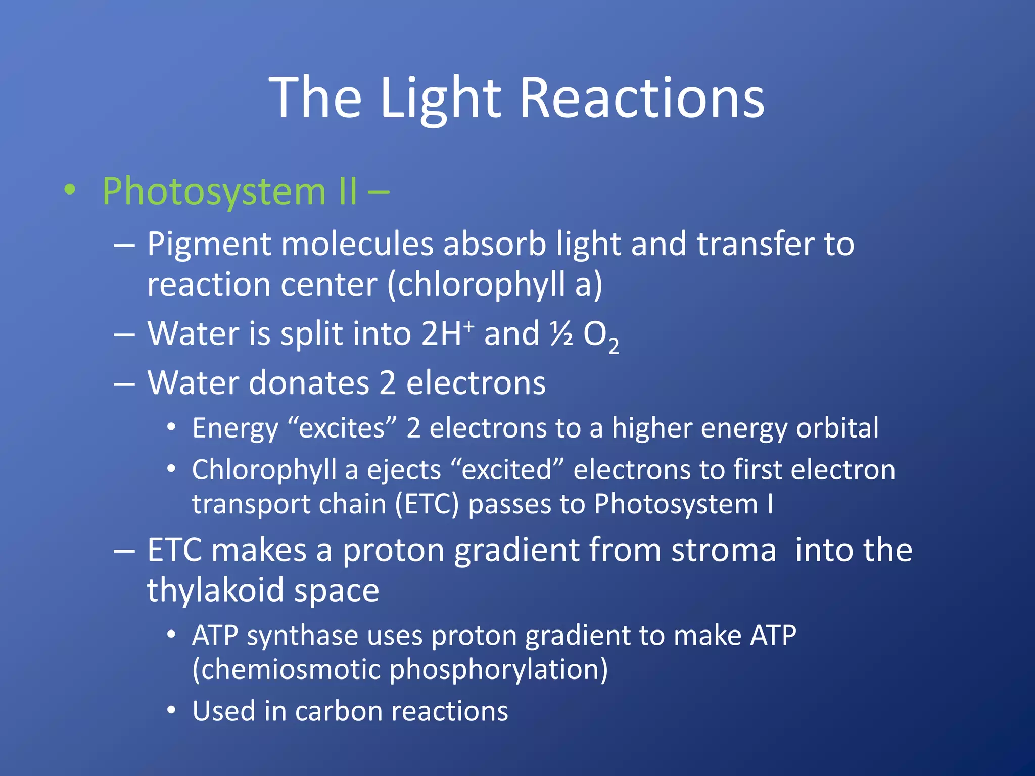 Biology Lecture - Photosynthesis | PPTX