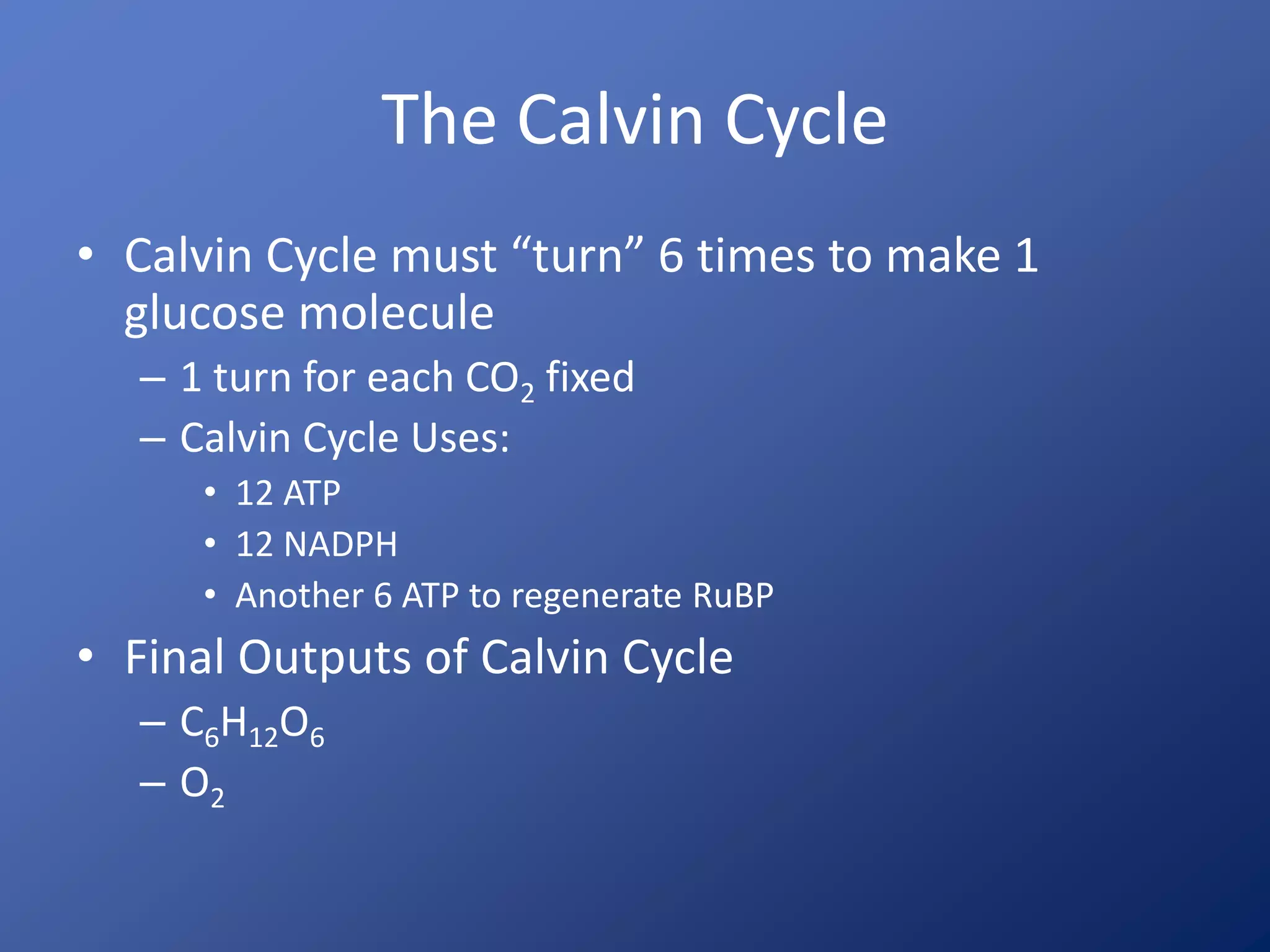 Biology Lecture - Photosynthesis | PPTX