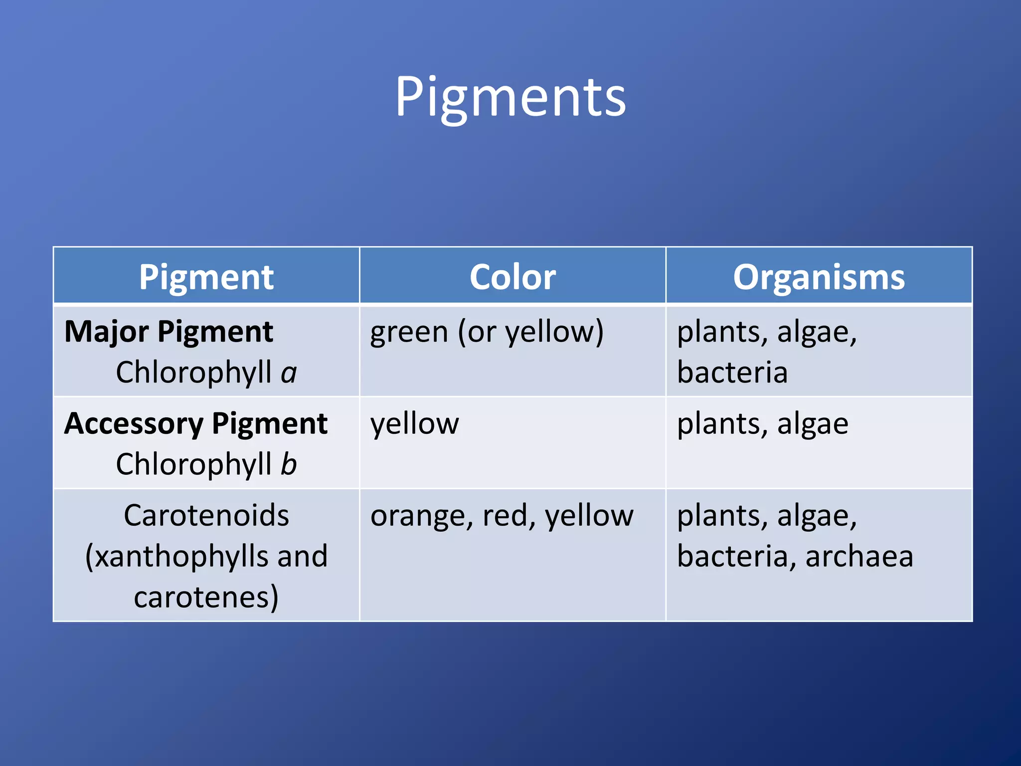 Biology Lecture - Photosynthesis | PPTX
