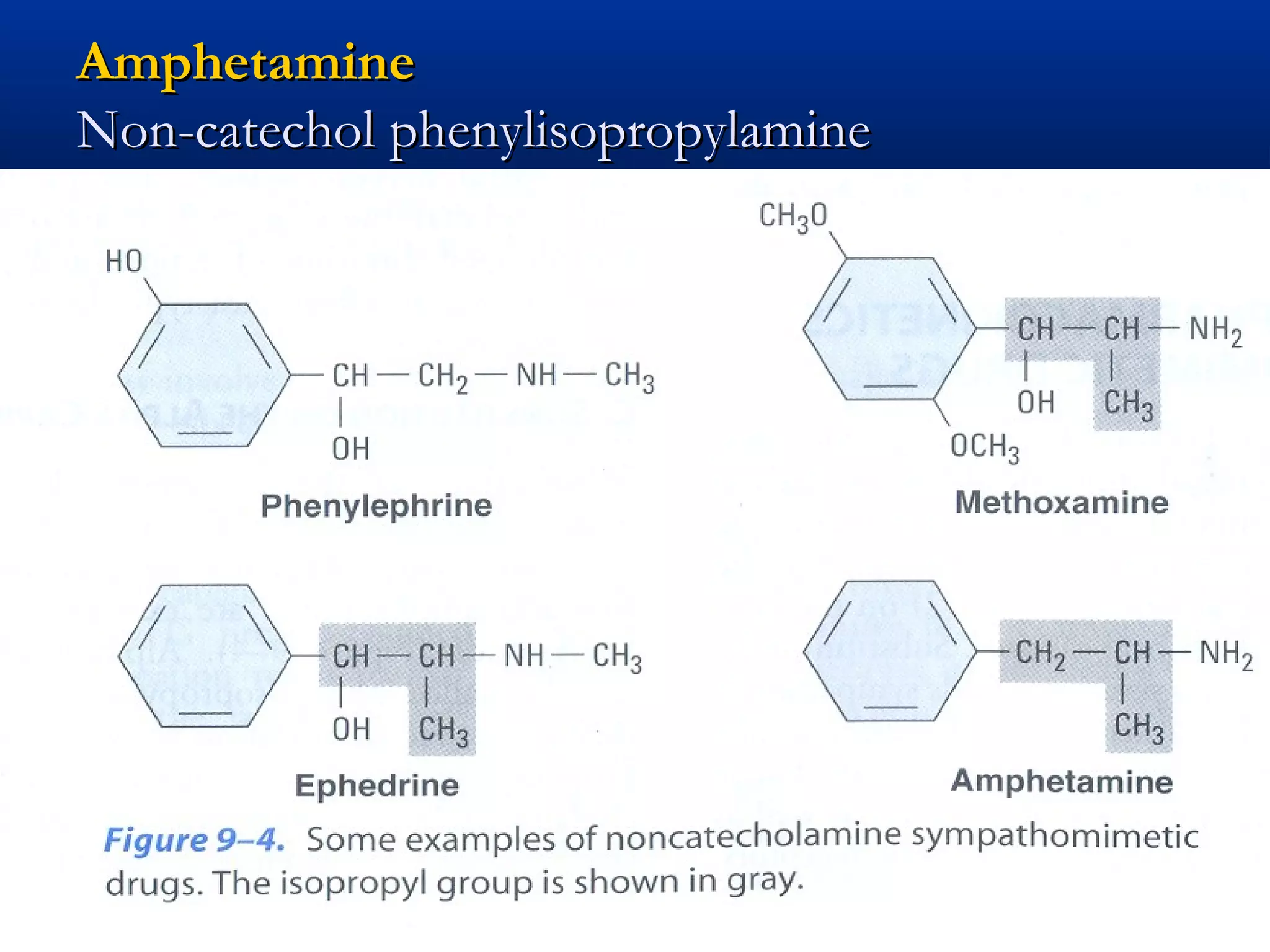 6. Non catecholamines | PPT