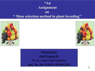 6. mass selection | PPT